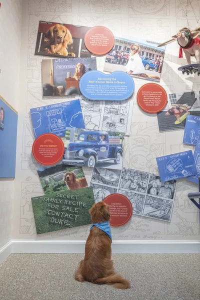 Bush's Visitor Center | Pigeon Forge Attractions | PigeonForge.com