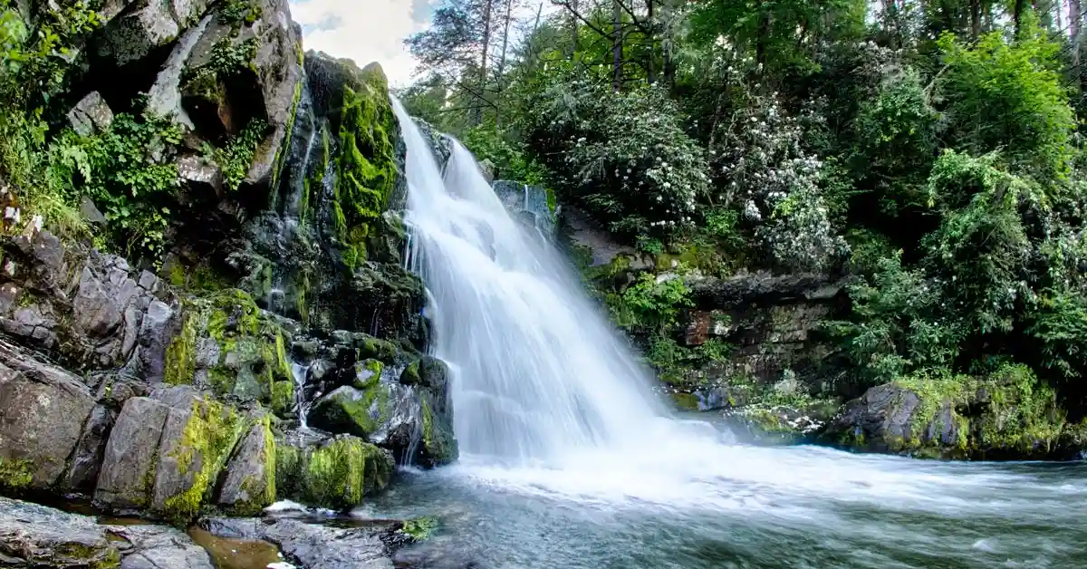 Abrams Falls Trail Smoky Mountain Hikes PigeonForge