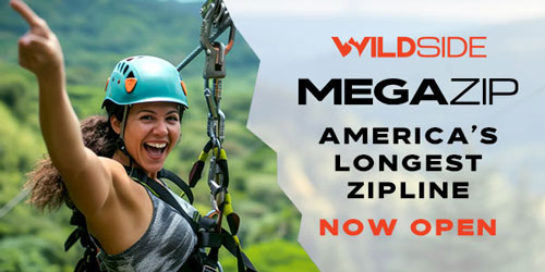 Adventure Awaits At The All New WildSide in Pigeon Forge