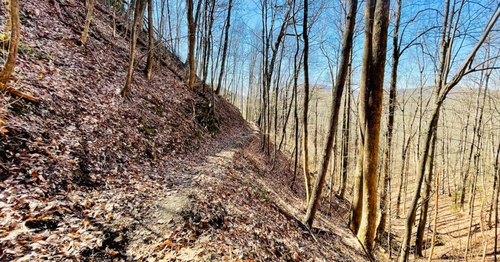 Lumber Ridge Trail: Smoky Mountain Hikes - PigeonForge.com